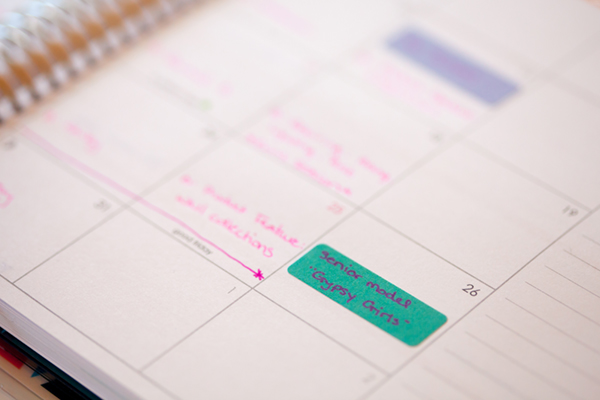 How I Stay Busy Year-Round Specializing in Seniors